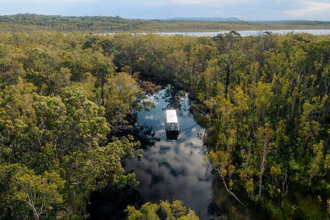 Serenity Cruise to Australia's Everglades - An Authentic Look at the Noosa River and the Everglades