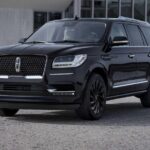 Service DE Limousine DE Luxe with Private Driver - Key Points