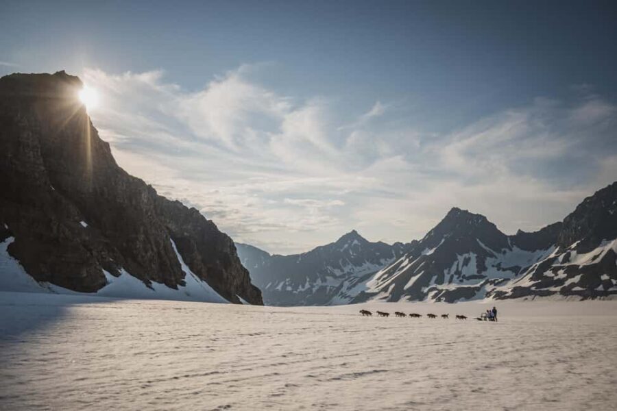 Seward, Alaska: Helicopter Glacier Dog Sledding Adventure - Is This Tour Worth It?