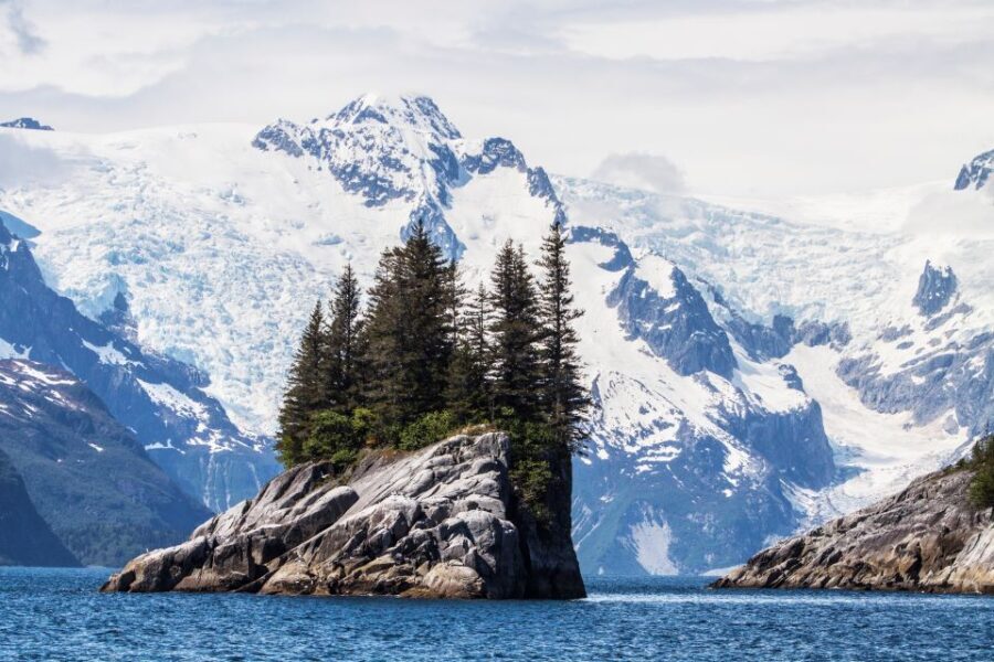 Seward: Kenai Fjords National Park Catamaran Cruise w/Lunch - The Value & Overall Experience
