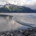Seward to Anchorage Direct Transfer Tour - A Deep Dive into the Details