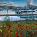 Seward to Anchorage Scenic Transfer Photo Tour - Who Is This Tour Best For?