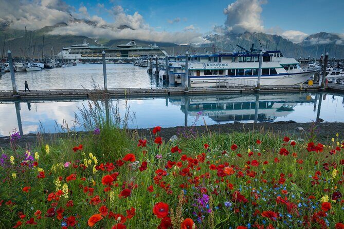 Seward to Anchorage Scenic Transfer Photo Tour - Who Is This Tour Best For?