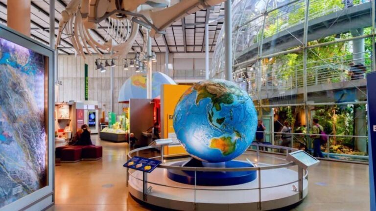 SF: CA Academy of Sciences & Hop-on Hop-off Tour (Save 15%) - Practical Details and Tips