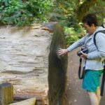 SF: Guided Muir Woods Tour & Hop-On Hop-Off Tour (Save 15%) - What We Loved (and What to Watch For)
