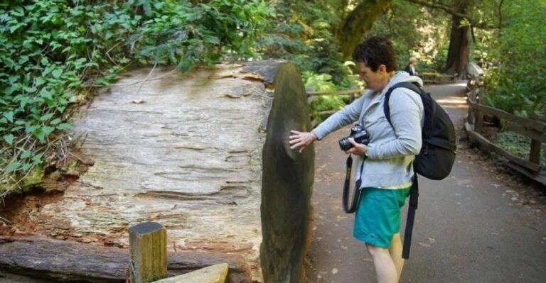 SF: Guided Muir Woods Tour & Hop-On Hop-Off Tour (Save 15%) - What We Loved (and What to Watch For)