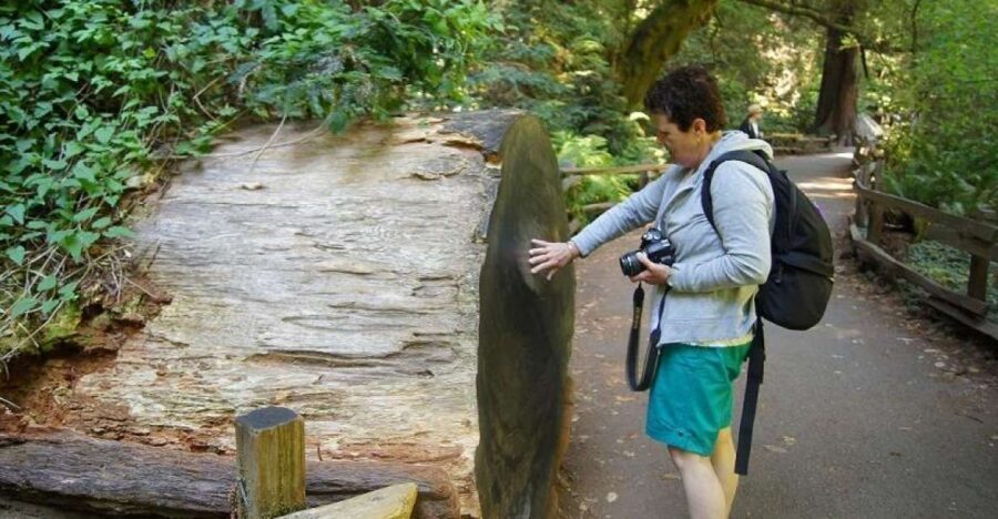SF: Guided Muir Woods Tour & Hop-On Hop-Off Tour (Save 15%) - What We Loved (and What to Watch For)