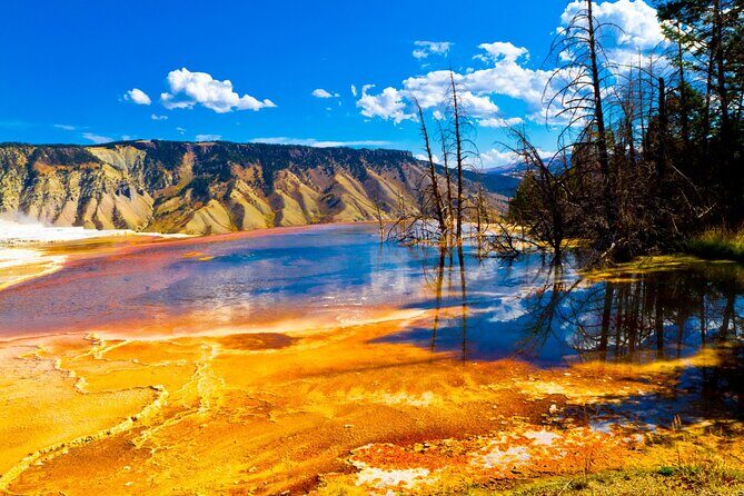 SF to Yellowstone,Grand Teton,Antelope Canyon&Vegas 7-Day Tour - The Real Experience: What Travelers Say