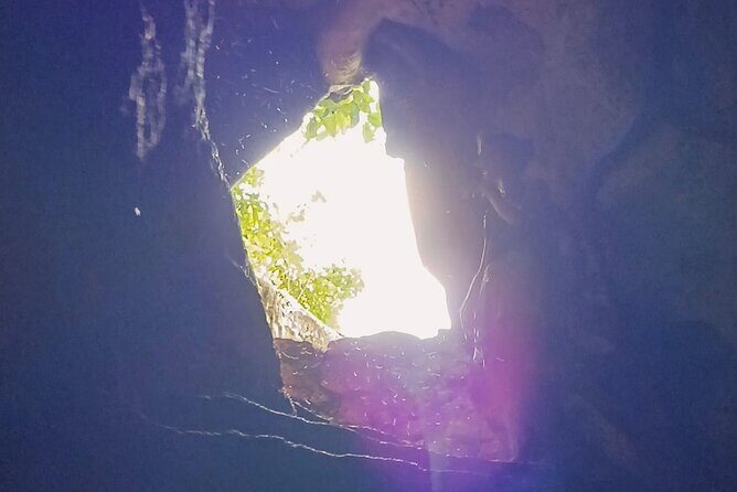 Shamanic Blessing Hidden Cenotes and Village Immersion - What Travelers Are Saying