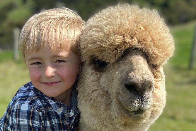 Shamarra Alpaca Farm Tours - FAQs