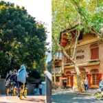 Shanghai French Concession Bike Tour with Food Tasting - Taking in Local Life at Fuxing Park and the Wet Market