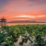 Shanghai: Private Guided Tour to Hangzhou by Bullet Train - The Journey Begins: From Shanghai to Hangzhou in Style