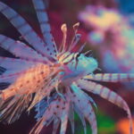 Shanghai: The Marine Wonders at Shanghai Ocean Aquarium - Practical Tips for Visiting