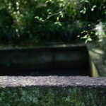 Shanghai to Hangzhou Tofu Ancient Road Hiking Tour by Train - Key Points