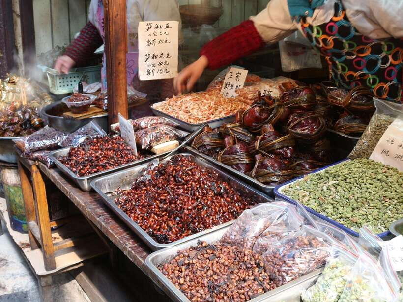 Shanghai: Zhujiajiao Water Town and City Private Day Tour - Who is This Tour Best For?
