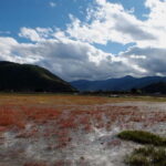 Shangri-La: Tiger Leaping Gorge & Songzanlin Monastery Tour - Songzanlin Monastery: Tibetan Spiritual Heartbeat