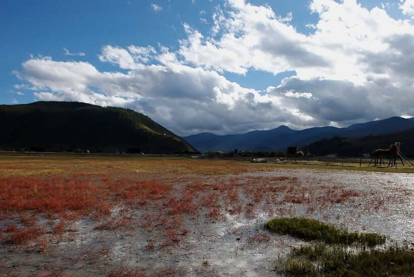 Shangri-La: Tiger Leaping Gorge & Songzanlin Monastery Tour - Songzanlin Monastery: Tibetan Spiritual Heartbeat