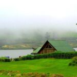 Shanthipura and Nuwara Eliya Day Tour from Kandy - Tea and Tastes at Damro Labookellie Tea Centre