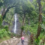 Shared 4.5h Circle Island Tour of Tahiti Nui by Lydia - The Practical Details: Transportation, Timing, and Group Size