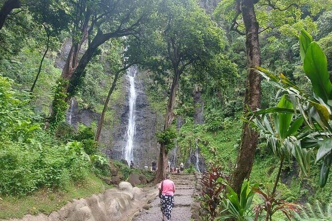 Shared 4.5h Circle Island Tour of Tahiti Nui by Lydia - The Practical Details: Transportation, Timing, and Group Size