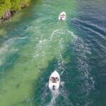 Shared Jungle Speed Boat Tour in Cancun - What Travelers Say: Authentic Experiences and Potential Drawbacks
