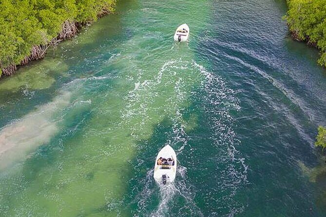 Shared Jungle Speed Boat Tour in Cancun - What Travelers Say: Authentic Experiences and Potential Drawbacks
