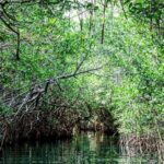 Shared Speedboat and Snorkeling Adventure in Cancun - What to Expect at Each Stage