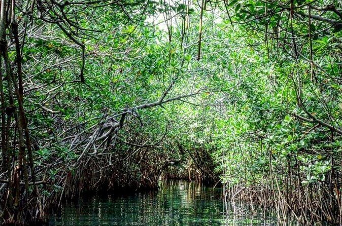 Shared Speedboat and Snorkeling Adventure in Cancun - What to Expect at Each Stage