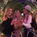 Shared Temecula Wine Tour from Newport Beach - Transport, Group Size, and Practical Details