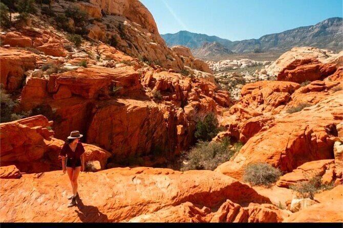Shared Tour in Red Rock Canyon - The Experience: What to Expect