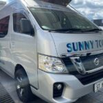 Shared Transfer from Nadi Airport Fiji to Nadi area hotels - Who Will Love This Transfer?