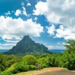 Shared Transfer : Hotel to Moorea Airport (or) Pier - Final Thoughts: Is It Worth It?