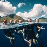 Shared Whale Expedition - Who would love this tour?