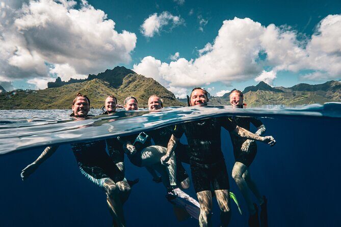 Shared Whale Expedition - Who would love this tour?