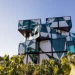 Shared Wine Taste Experience The Dead Arm Distinction - What Do the Reviews Reveal?