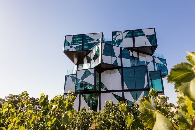Shared Wine Taste Experience The Dead Arm Distinction - What Do the Reviews Reveal?