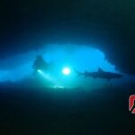 Shark Cave diving at Tangked Taked and Biaha Shark Caves - Key Points