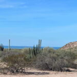 Shark Island: Tour of the largest island in Mexico - A Day in the Life on Shark Island