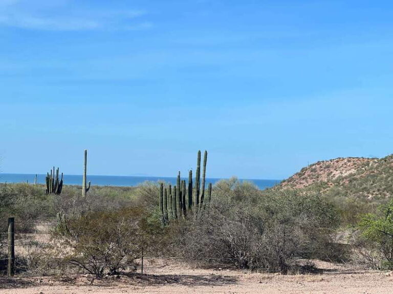 Shark Island: Tour of the largest island in Mexico - A Day in the Life on Shark Island