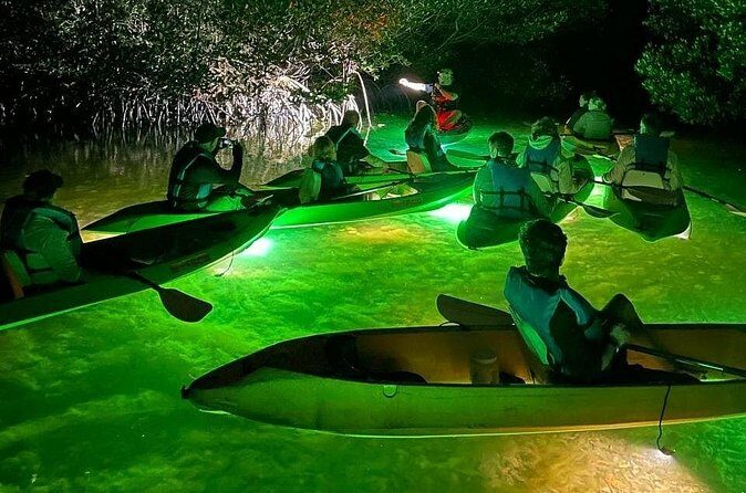 Sharkeys Glass Bottom Fish Feeding LED Night Tour Key West - Frequently Asked Questions