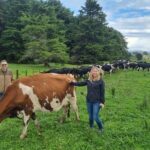 Sheep & Beef Working Farm Private Tour - Dog Herding Showcased