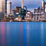Sheep Shearing and Auckland City Highlights Tour with Lunch - The Experience in Practice