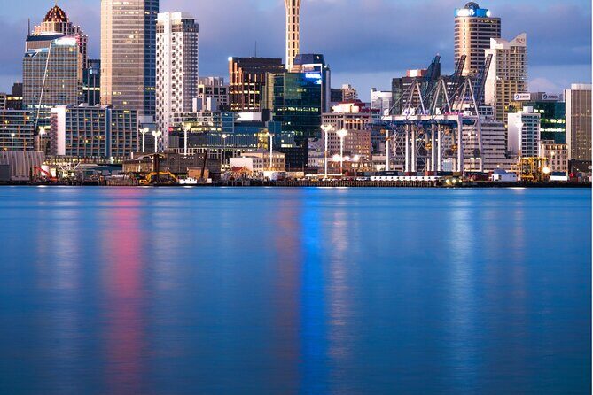 Sheep Shearing and Auckland City Highlights Tour with Lunch - The Experience in Practice