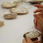 Shell to Showroom - Sydney's only Pearl Farm Experience - Possible Drawbacks