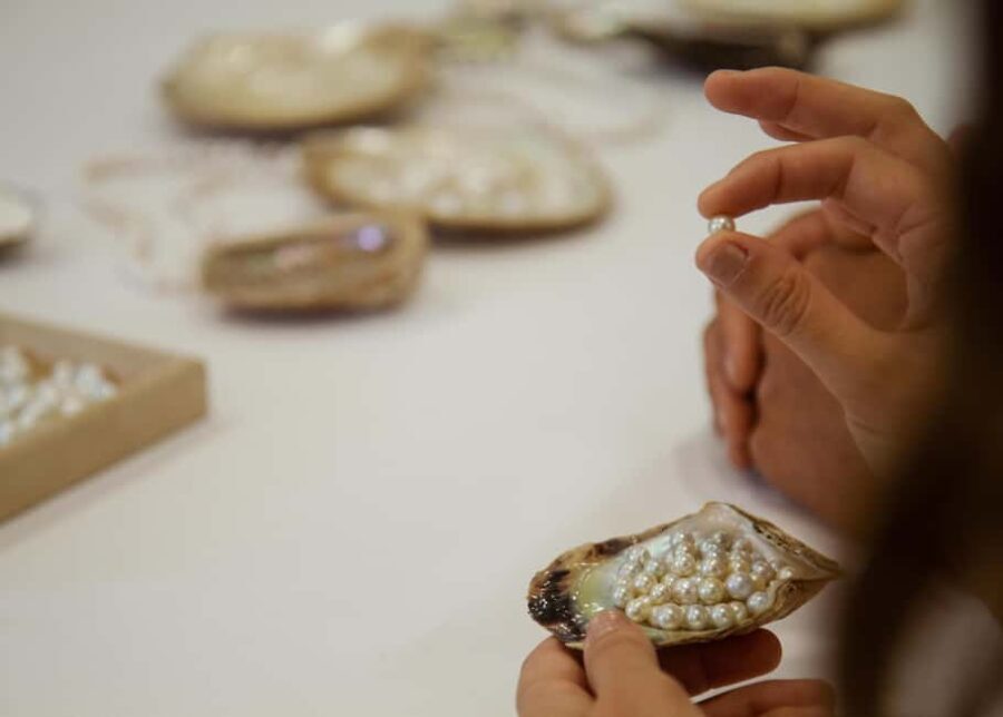 Shell to Showroom - Sydney's only Pearl Farm Experience - Possible Drawbacks