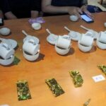 Shiding Tea Township: Half-Day chartered Tour from Taipei - Analyzing the Value