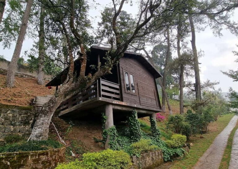 Shillong Green Trails: Guided Trekking Experience with local - How Does It Stack Up in Value?