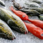Shima: Standard Fish Shop Tour & Workshop - Why This Tour Matters