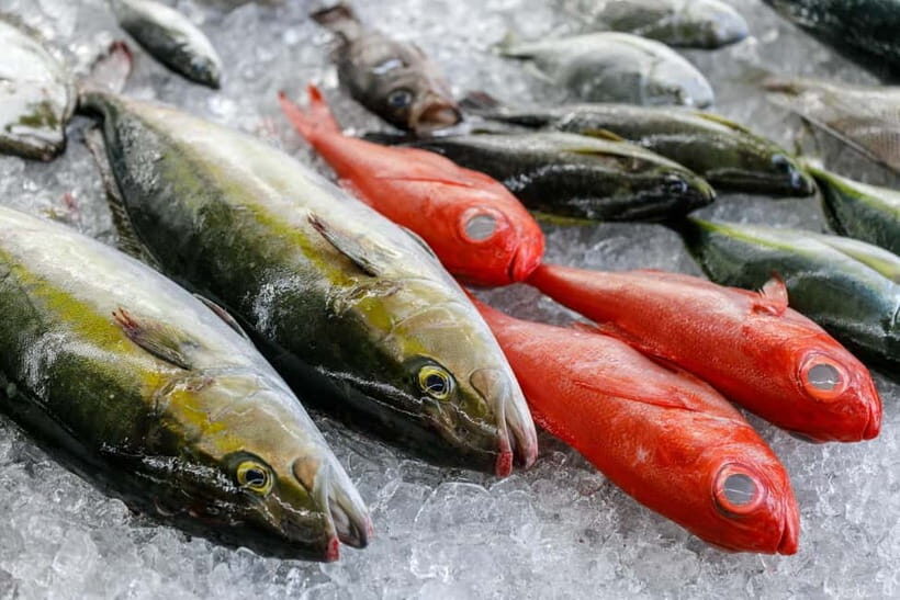 Shima: Standard Fish Shop Tour & Workshop - Why This Tour Matters