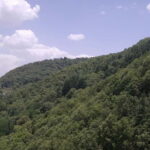 Shimla: Temples Tour with full day Local Driver Guide - Authentic Experiences: What Travelers Say